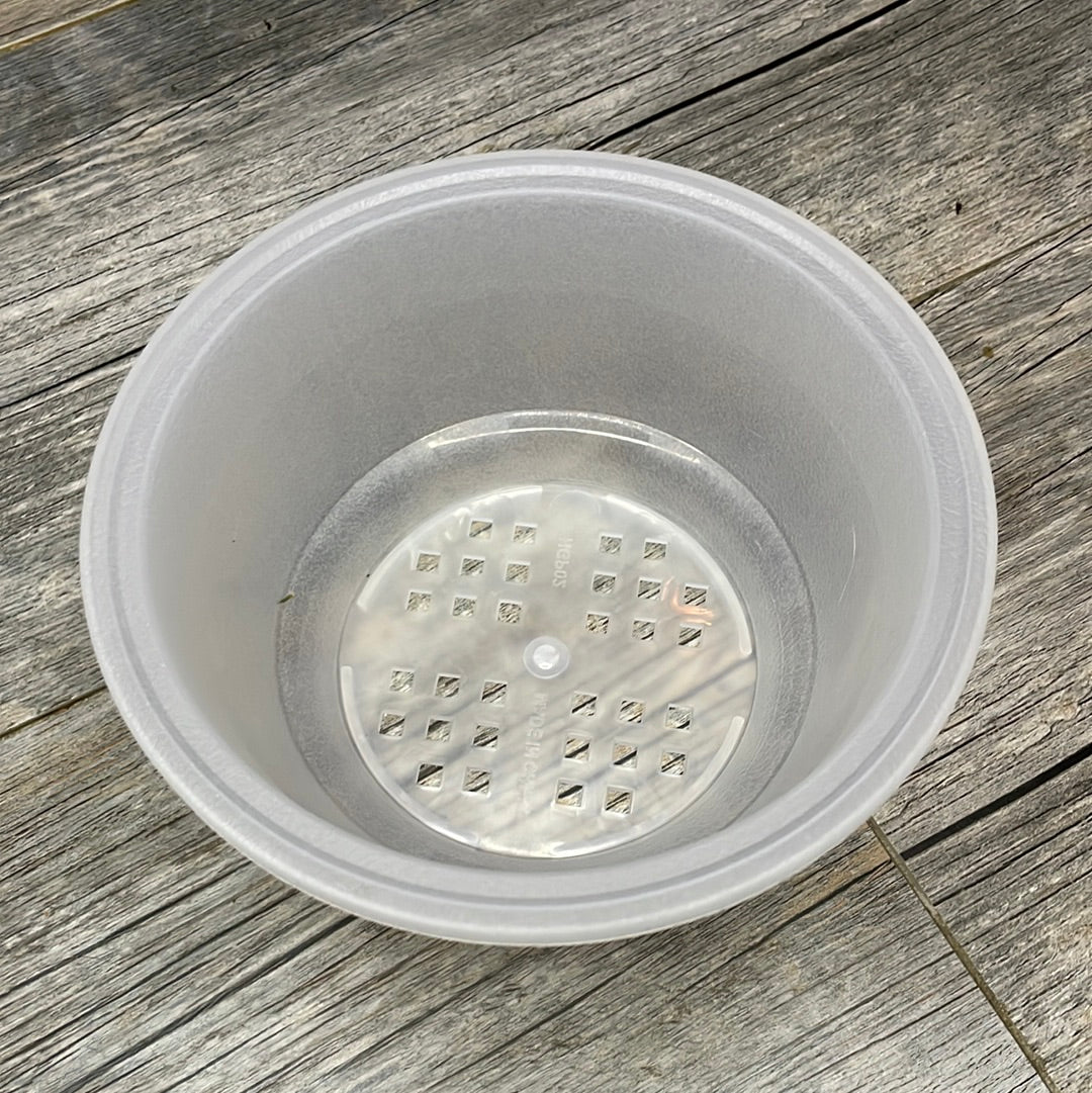 5.5" clear textured shallow bulb pan – QuarterAcreOrchids