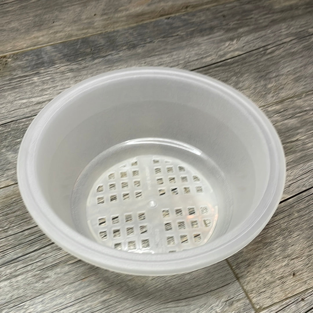 7" clear textured shallow bulb pan – QuarterAcreOrchids