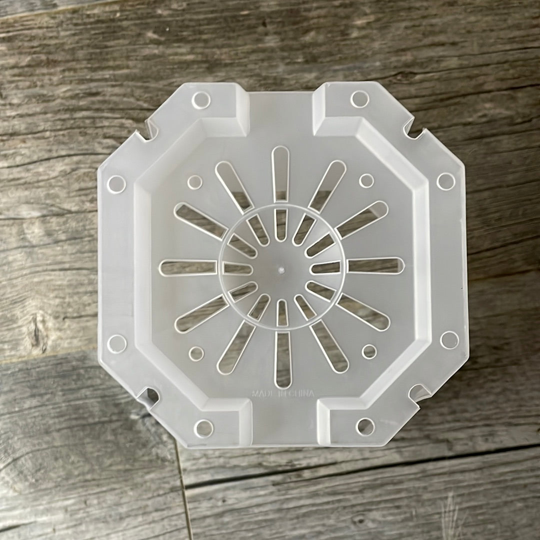 7" bevel sided tall square clear pot – QuarterAcreOrchids