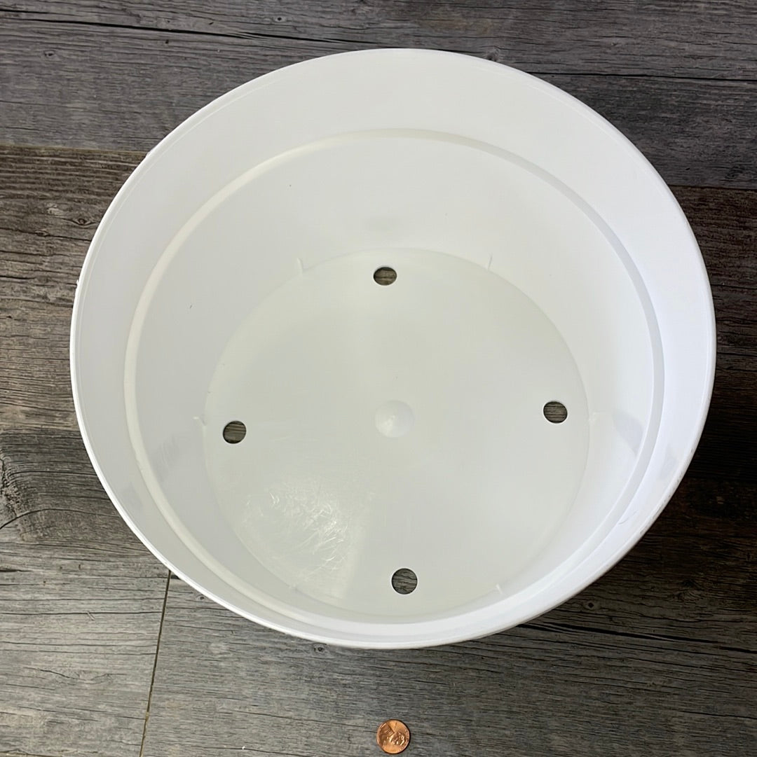 12" white bulb pan for orchids – QuarterAcreOrchids