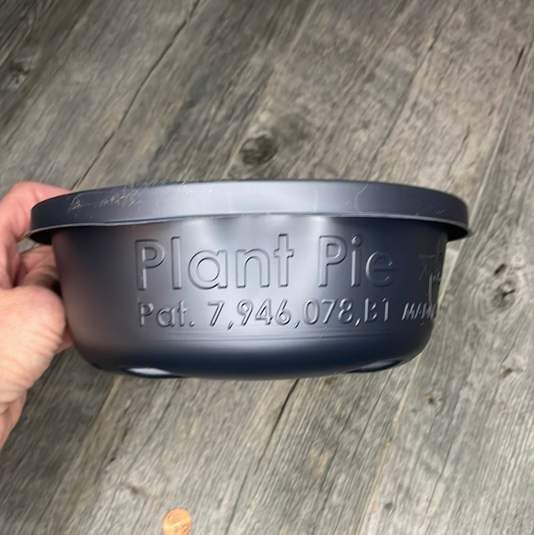 Plant Pie round black plastic orchid pot - two sizes! – QuarterAcreOrchids