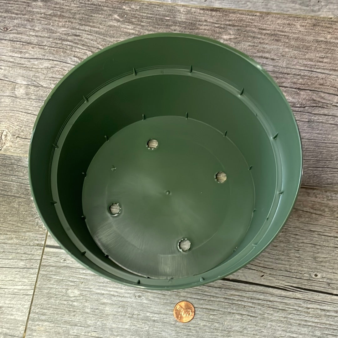 8" green plastic bulb pan for orchids – QuarterAcreOrchids