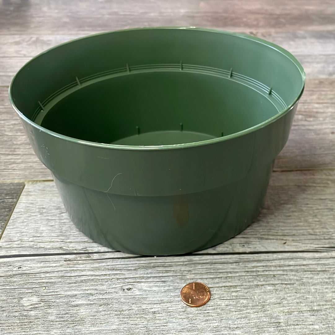 8" green plastic bulb pan for orchids – QuarterAcreOrchids